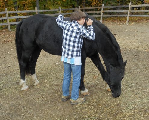 Horse camp - Touchstone Farm - Horse Camp in New England - Home