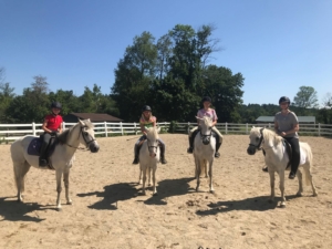 Horse camp - Touchstone Farm - Horse camp in New England - Home