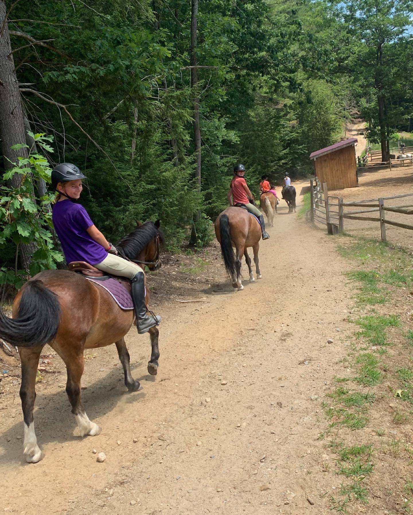 Horse camp - Touchstone Farm - Horse Camp in New England - Home